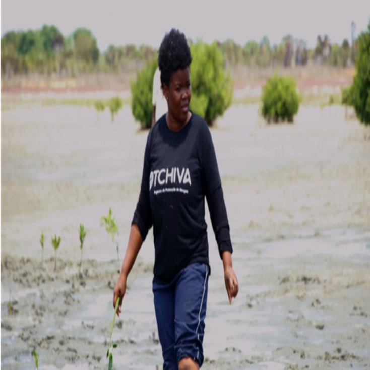 Green News | Otchiva