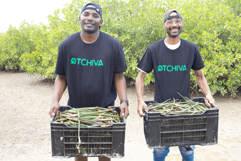 Front Page | Otchiva