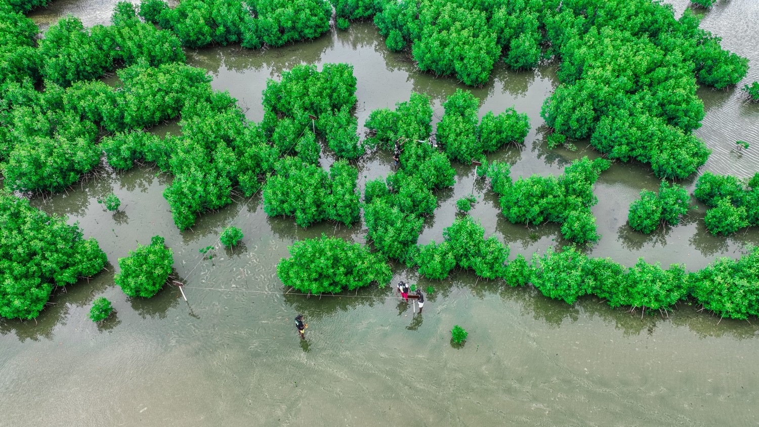 Comunidades | Otchiva