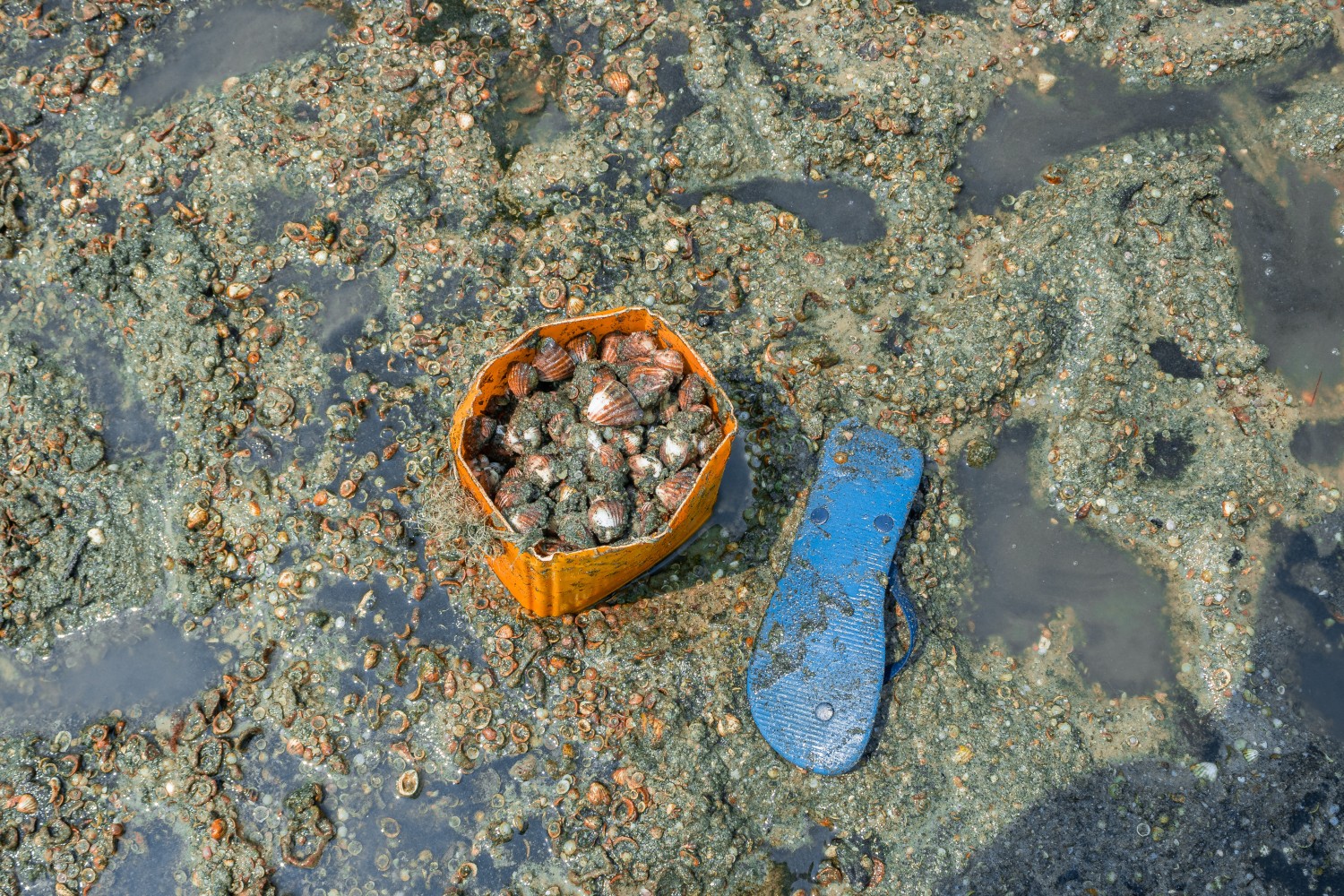 Comunidades | Otchiva