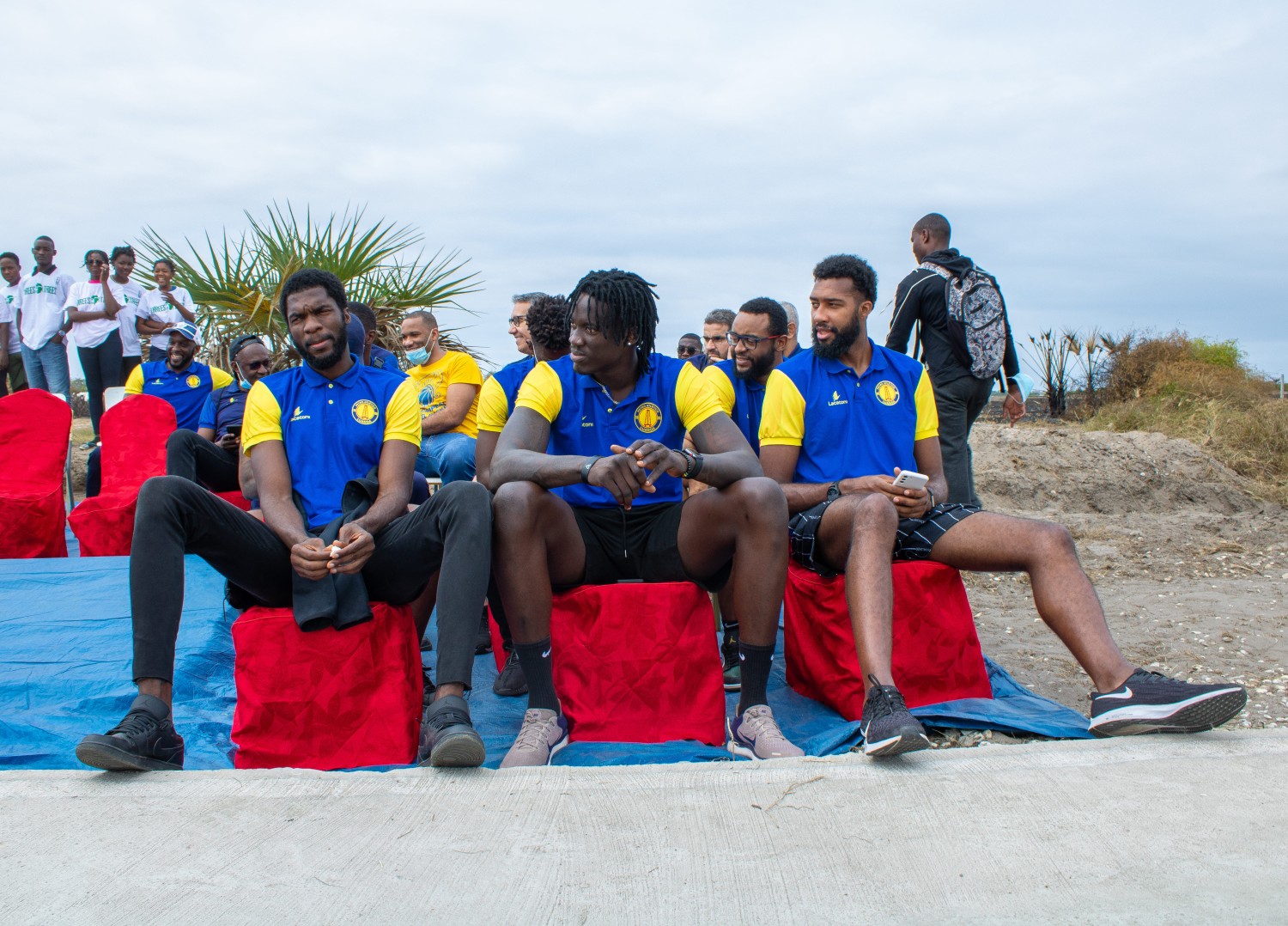 Reflorestação | Otchiva