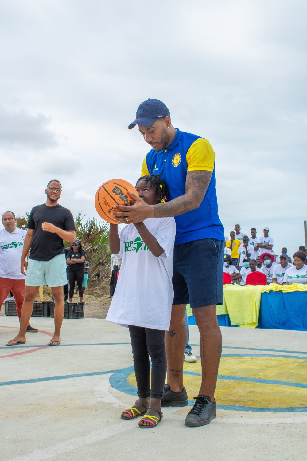 Reflorestação | Otchiva