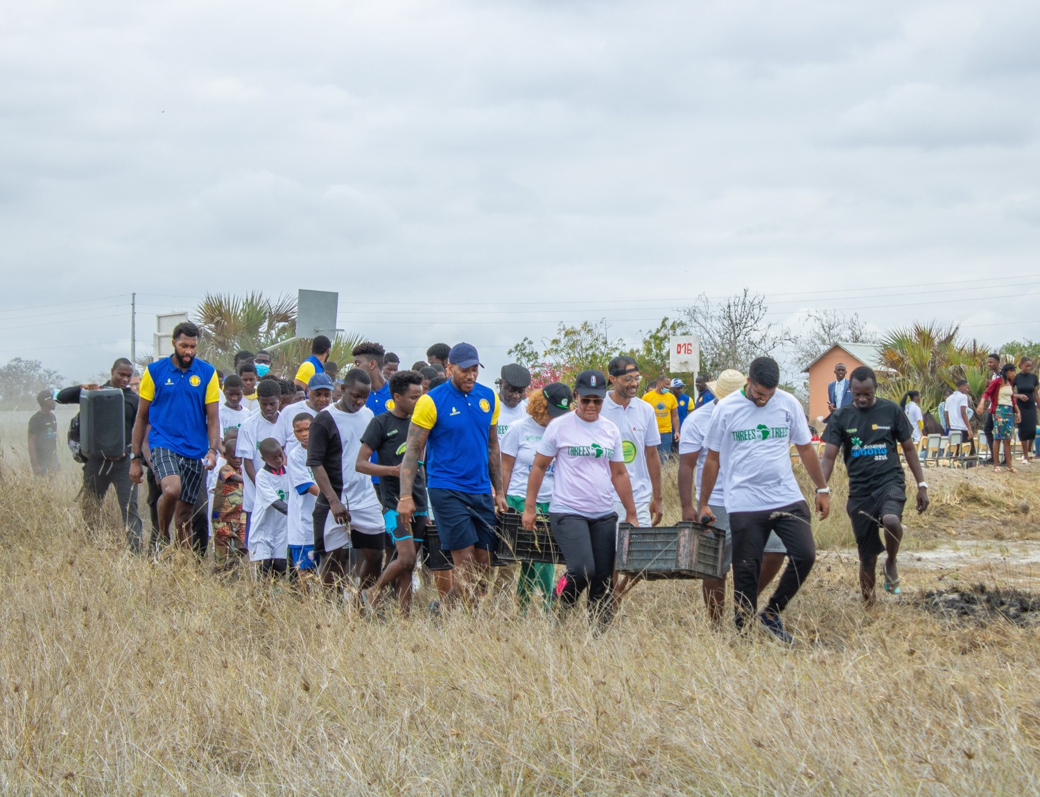 Reflorestação | Otchiva