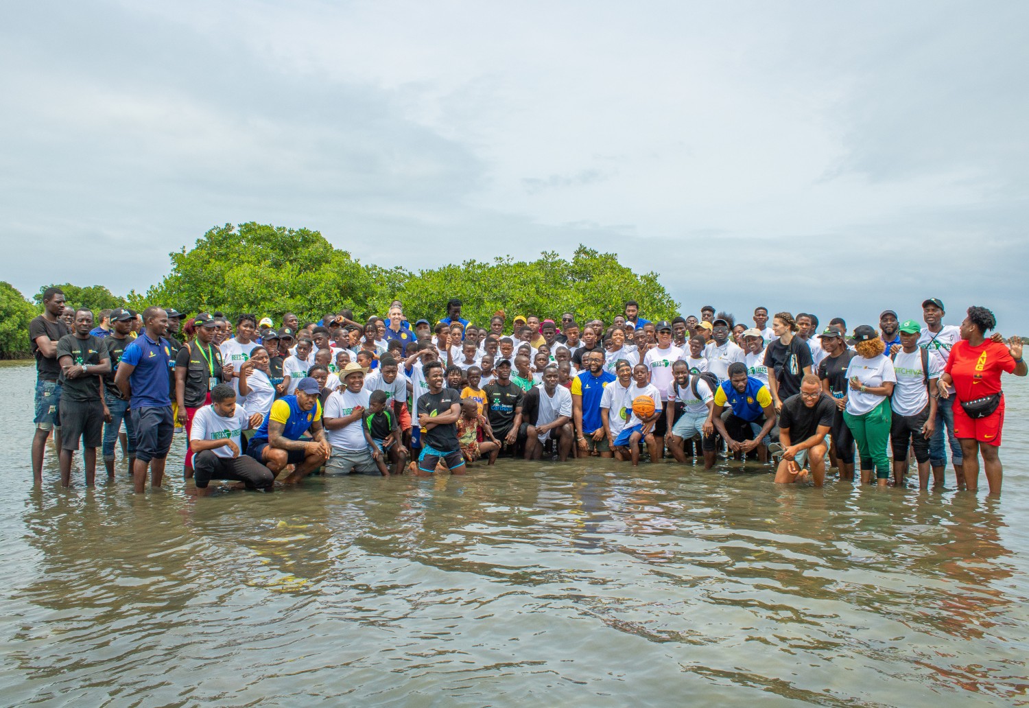 Reflorestação | Otchiva
