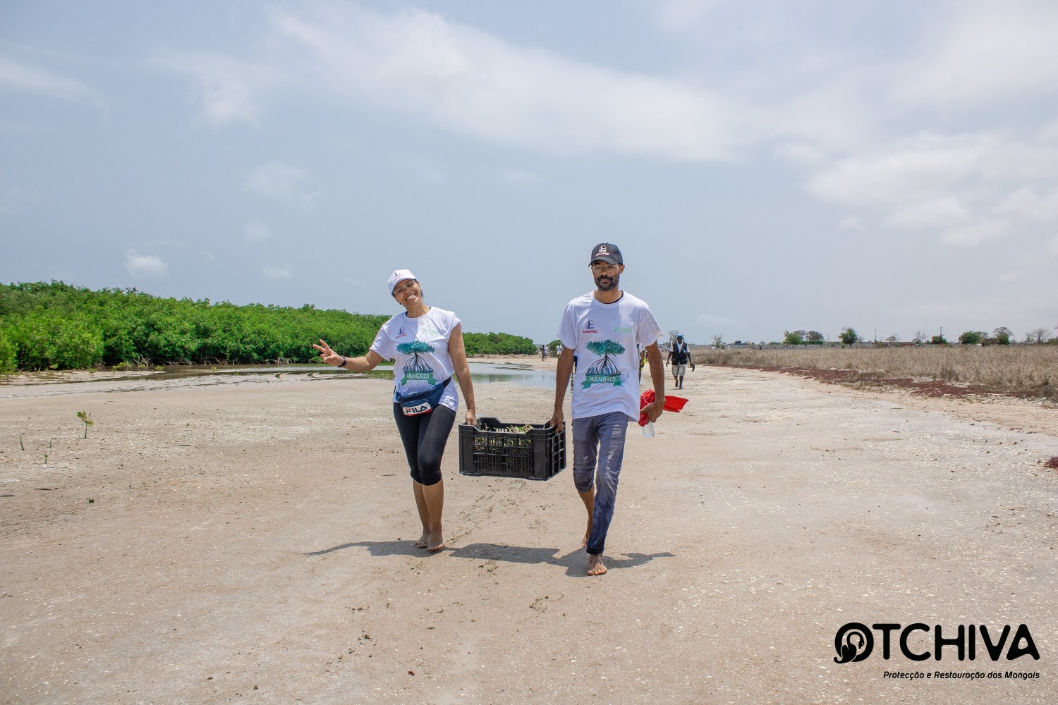 Reflorestação | Otchiva